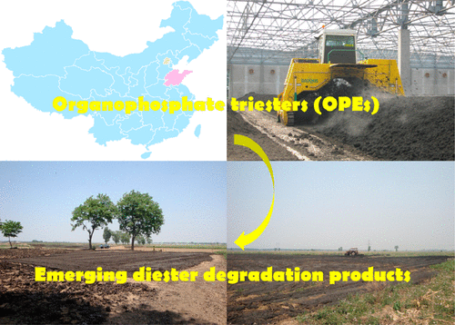 Organophosphate Triesters and Diester Degradation Products in Municipal ...