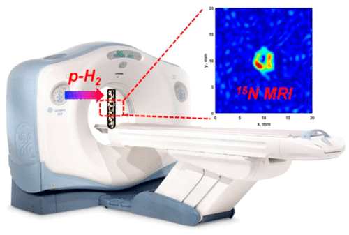 Imaging of Biomolecular NMR Signals Amplified by Reversible Exchange ...
