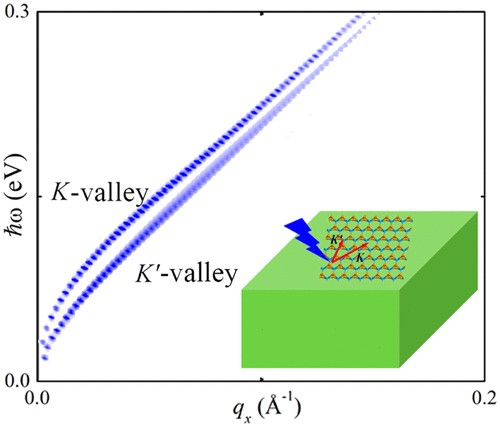 Giant Valley Splitting and Valley Polarized Plasmonics in Group V ...