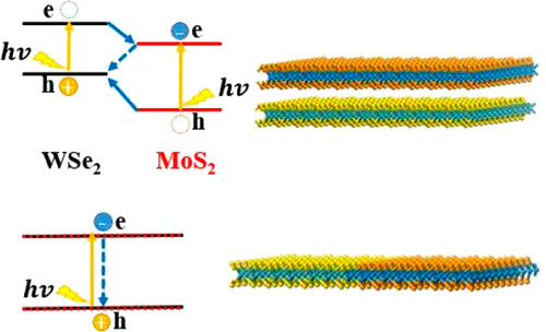 Disparity in Photoexcitation Dynamics between Vertical and Lateral MoS2 ...