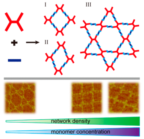 Concentration-Directed Polymorphic Surface Covalent Organic Frameworks ...