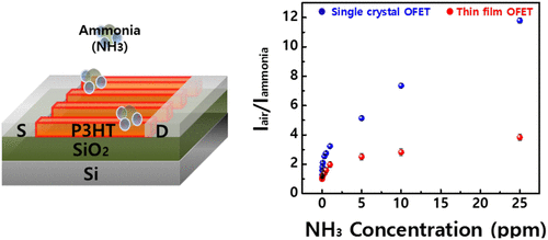 Highly Sensitive Ammonia Gas Sensor Based on Single-Crystal Poly(3-hexylthiophene) (P3HT ...
