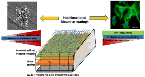 Biomimetic Hyaluronic Acid-Lysozyme Composite Coating on AZ31 Mg Alloy with Combined ...