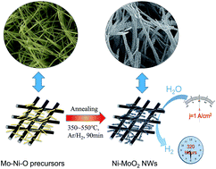 Integrated 3D self-supported Ni decorated MoO2 nanowires as highly ...