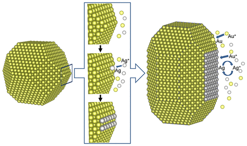 A Mechanism for Symmetry Breaking and Shape Control in Single-Crystal ...