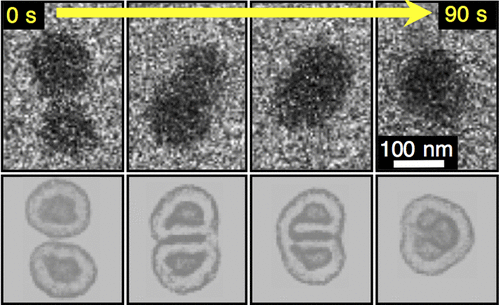 Directly Observing Micelle Fusion and Growth in Solution by Liquid-Cell ...