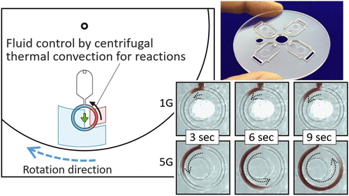 Centrifugation-Controlled Thermal Convection and Its Application to ...