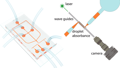 A High-Sensitivity, Integrated Absorbance and Fluorescence Detection ...