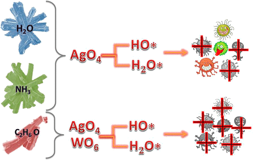 调谐α-Ag的形态，光学和抗微生物性质 2 WO 4 微晶使用不同溶剂,Crystal Growth & Design - X-MOL