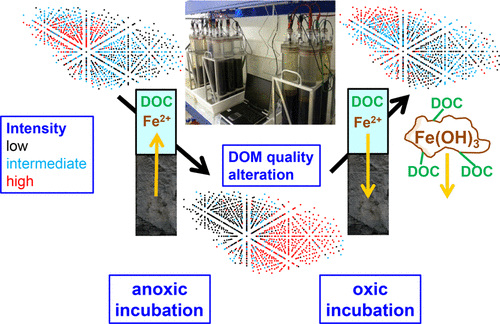 Redox Conditions Affect Dissolved Organic Carbon Quality in Stratified ...