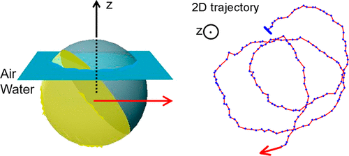 Janus Colloids Actively Rotating on the Surface of Water,Langmuir - X-MOL