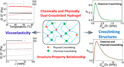 Viscoelasticity and Structures in Chemically and Physically Dual-Cross-Linked Hydrogels ...