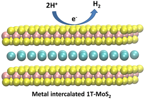Effect of Intercalated Metals on the Electrocatalytic Activity of 1T ...