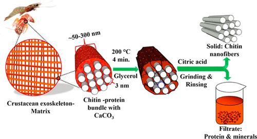 Pretreatment in Hot Glycerol for Facile and Green Separation of Chitin ...