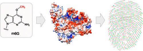 Fingerprints of Modified RNA Bases from Deep Sequencing Profiles ...