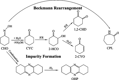 Impurity Formation in the Beckmann Rearrangement of Cyclohexanone Oxime ...