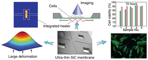 Superior Robust Ultrathin Single-Crystalline Silicon Carbide Membrane ...
