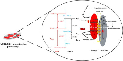 An in depth mechanism insight of the degradation of multiple refractory ...