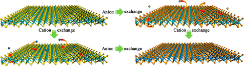 General Strategy for Two-Dimensional Transition Metal Dichalcogenides ...