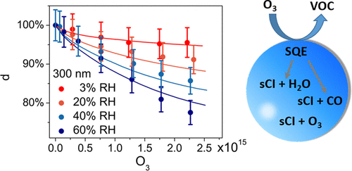 Connecting the Elementary Reaction Pathways of Criegee Intermediates to ...