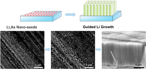 Guided Lithium Metal Deposition and Improved Lithium Coulombic ...