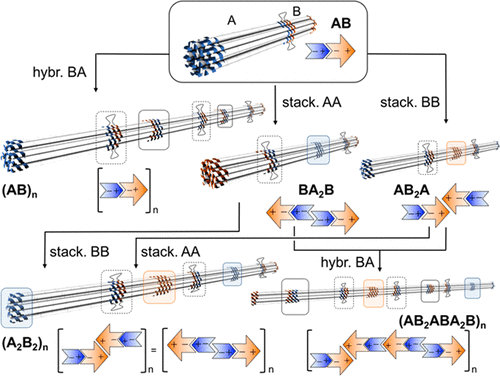 Hierarchical Assembly of DNA Filaments with Designer Elastic Properties ...