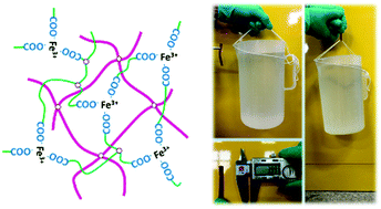 Hierarchical structural double network hydrogel with high strength ...