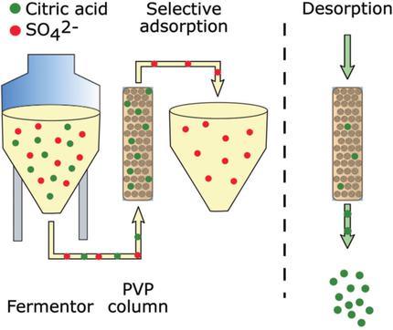 Adsorption and Selective Recovery of Citric Acid with Poly(4 ...