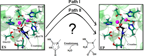 Quantum Mechanics/Molecular Mechanics Simulations Identify the Ring ...