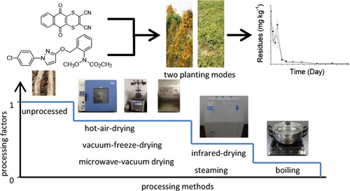 Effects of Planting and Processing Modes on the Degradation of ...