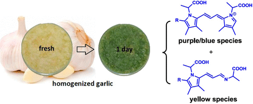 Allium Discoloration: Color Compounds Formed during Greening of ...