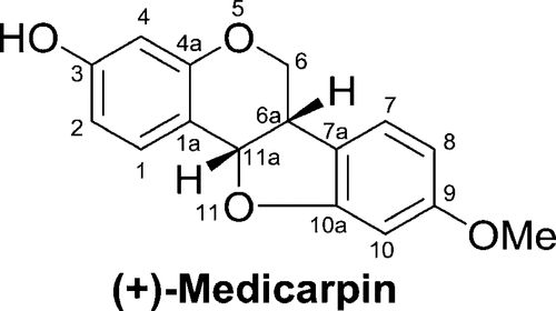 木瓜蛋白酶的全合成,Journal of Natural Products - X-MOL