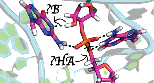 Mapping the Chemical Space of the RNA Cleavage and Its Implications for ...