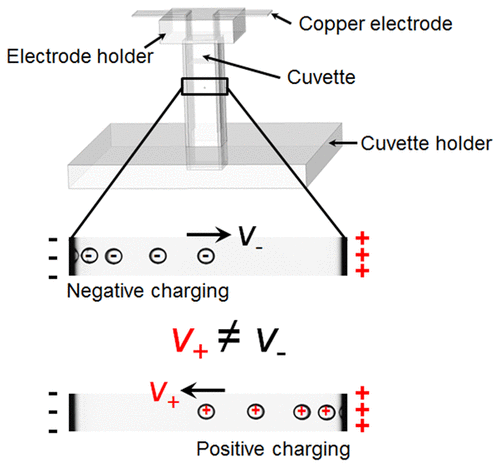 Electrostatic Origins of the Positive and Negative Charging Difference ...