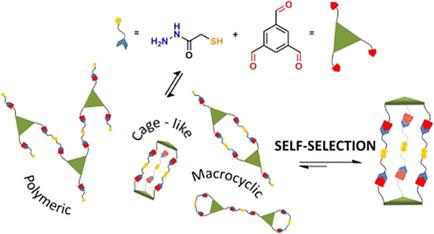 Generation of Multicomponent Molecular Cages using Simultaneous Dynamic ...