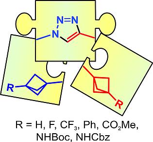Bicyclo[1.1.1]pentane-Derived Building Blocks for Click Chemistry ...