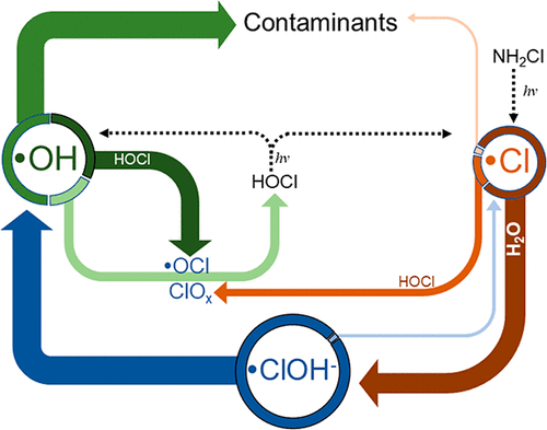 Comparing the UV/Monochloramine and UV/Free Chlorine Advanced Oxidation ...