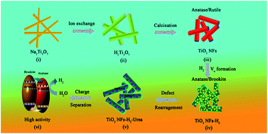 Oxygen vacancy mediated construction of anatase/brookite heterophase ...
