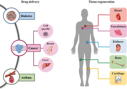 Functionalizing PLGA and PLGA Derivatives for Drug Delivery and Tissue ...