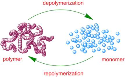 Complete Depolymerization and Repolymerization of a Sugar Poly ...