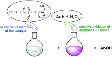 Direct hydroxylation of benzene and aromatics with H2O2 catalyzed by a ...
