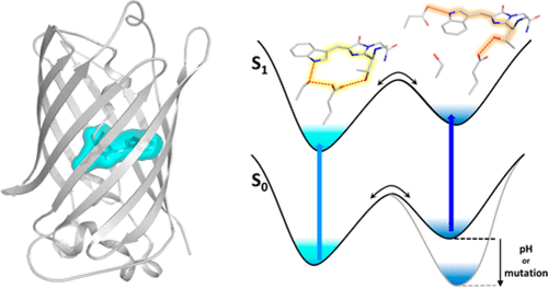 Chromophore Isomer Stabilization Is Critical to the Efficient ...
