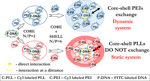 Time-Resolved Fluorescence Spectroscopy Reveals Fine Structure and ...