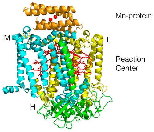 Binding and Energetics of Electron Transfer between an Artificial Four ...