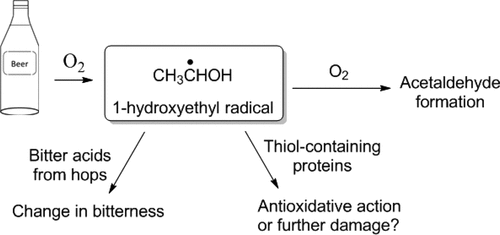 Kinetic Models for the Role of Protein Thiols during Oxidation in Beer ...