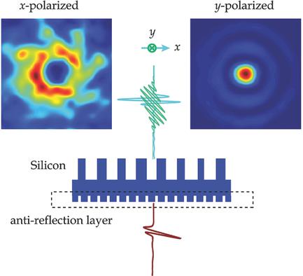 High‐Efficiency Dielectric Metasurfaces for Polarization‐Dependent ...