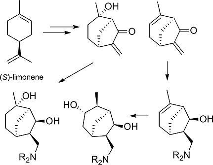 Stereoselective Synthesis of Limonene-based Chiral 1,3-Aminoalcohols ...