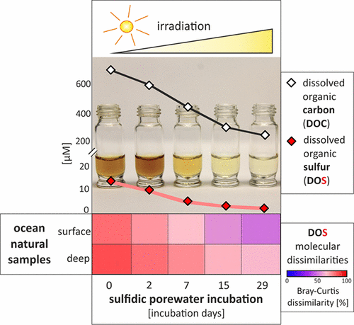 Photochemical Alteration of Dissolved Organic Sulfur from Sulfidic ...