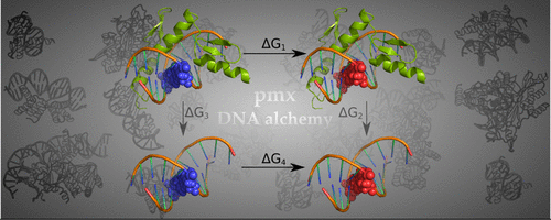 Alchemical Free Energy Calculations for Nucleotide Mutations in Protein ...