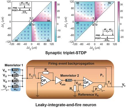 Synaptic Suppression Triplet‐STDP Learning Rule Realized in Second ...